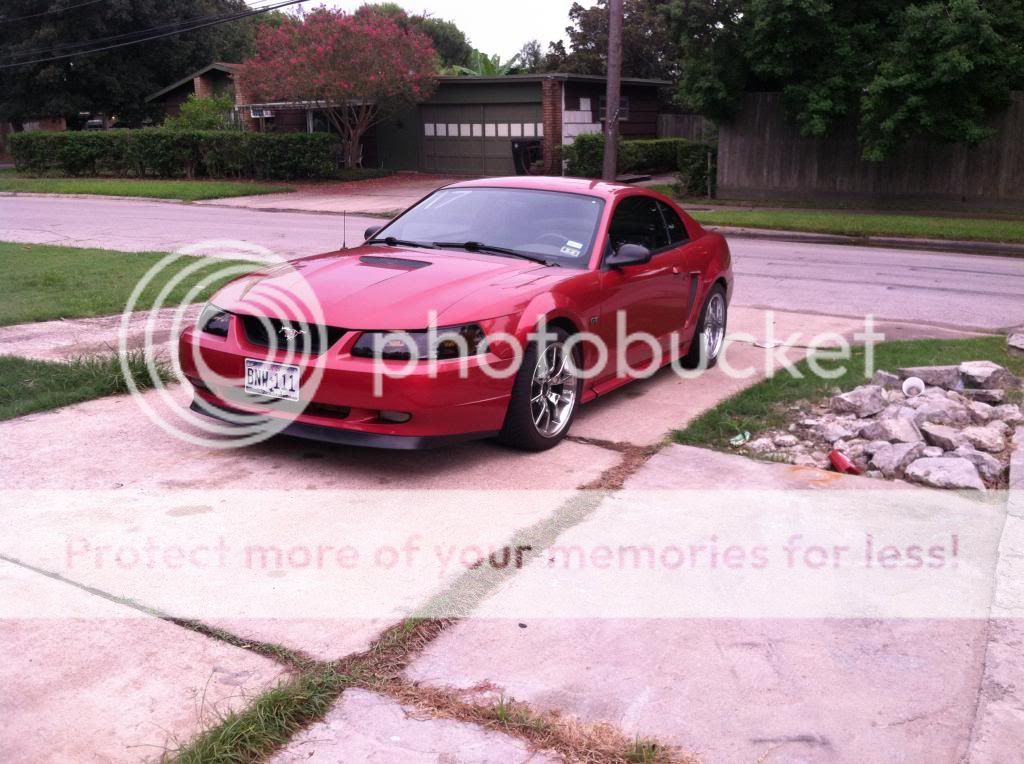 Lime Green Motor In a Laser Red Car | Modded Mustang Forums